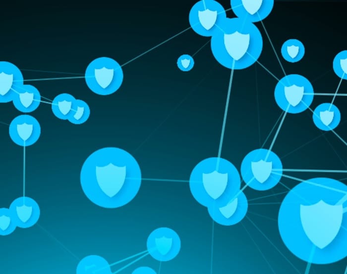 Six Months In, Privacy Shield Is Battered But Holding: Three Notable ...